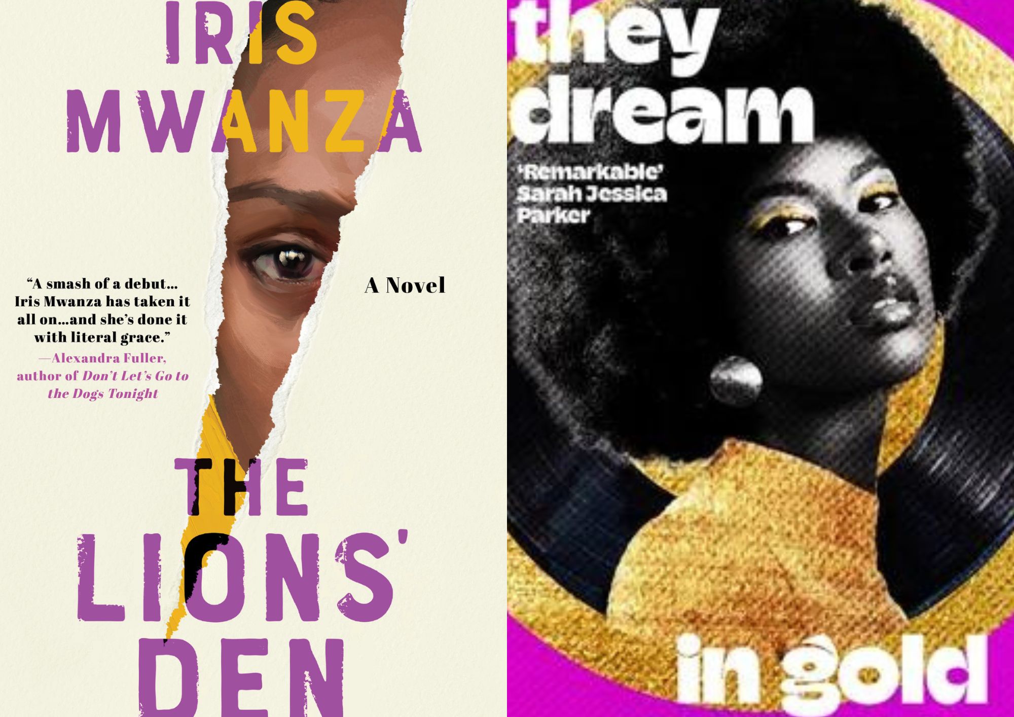 Introducing The Center for Fiction 2024 First Novel Prize Longlist ...